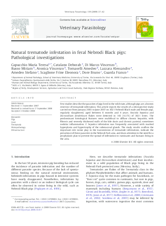 (PDF) Natural trematode infestation in feral Nebrodi Black pigs ...