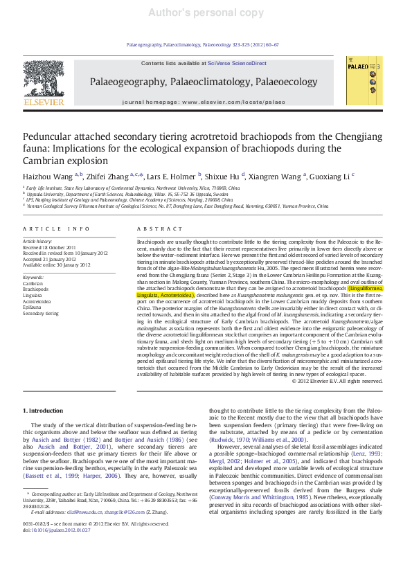 (PDF) Peduncular attached secondary tiering acrotretoid brachiopods ...