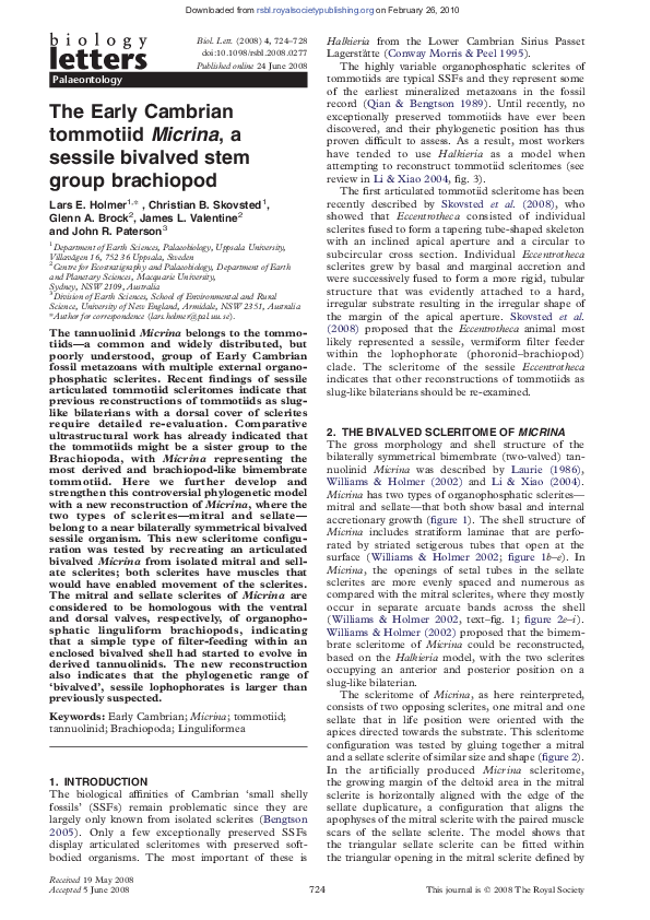 (PDF) The Early Cambrian tommotiid Micrina, a sessile bivalved stem ...