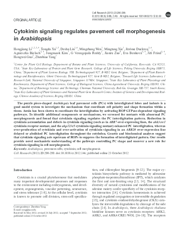 (PDF) Cytokinin signaling regulates pavement cell morphogenesis in ...