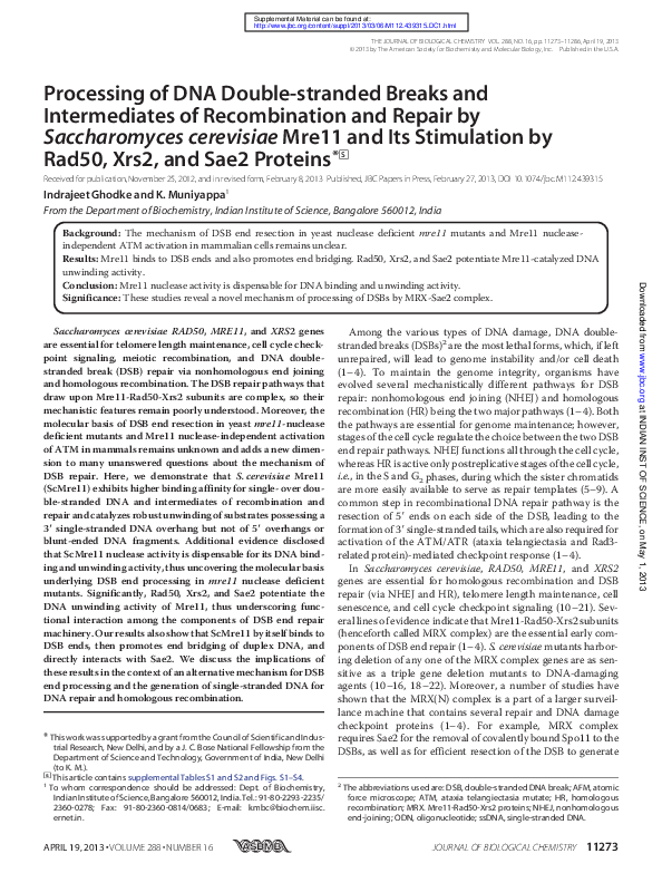 (PDF) The role of the Mre11-Rad50-Nbs1 complex in double-strand break repair-facts and myths ...