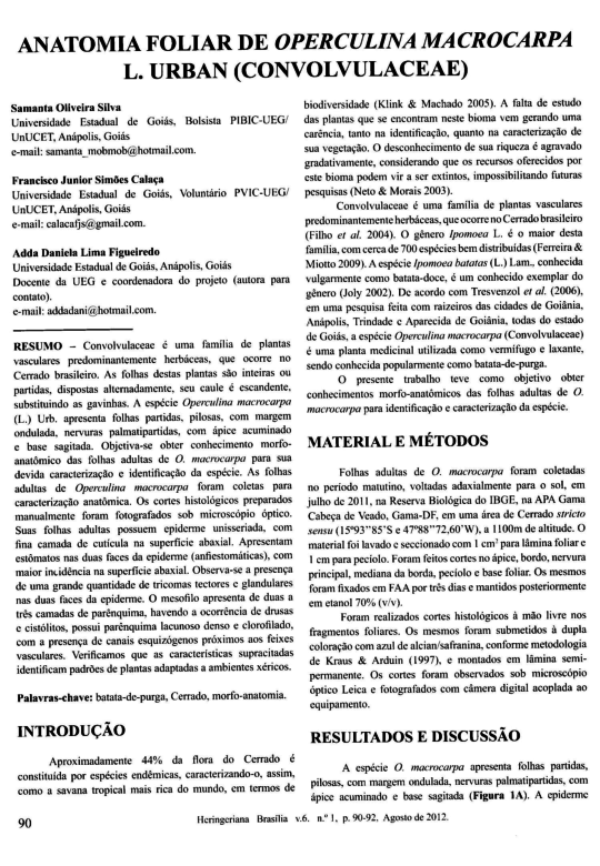 (PDF) Anatomia de Operculina macrocarpa L. Urban (Convolvulaceae)