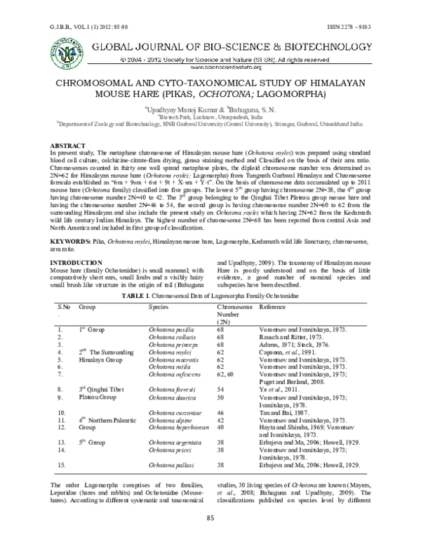 (PDF) CHROMOSOMAL AND CYTO-TAXONOMICAL STUDY OF HIMALAYAN MOUSE HARE ...