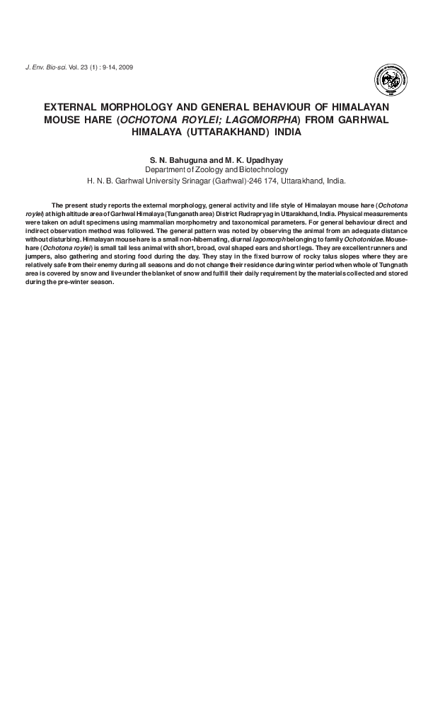 (PDF) EXTERNAL MORPHOLOGY AND GENERAL BEHAVIOUR OF HIMALAYAN MOUSE HARE ...