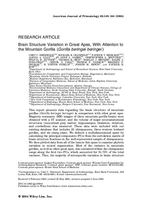 (PDF) Brain structure variation in great apes, with attention to the ...