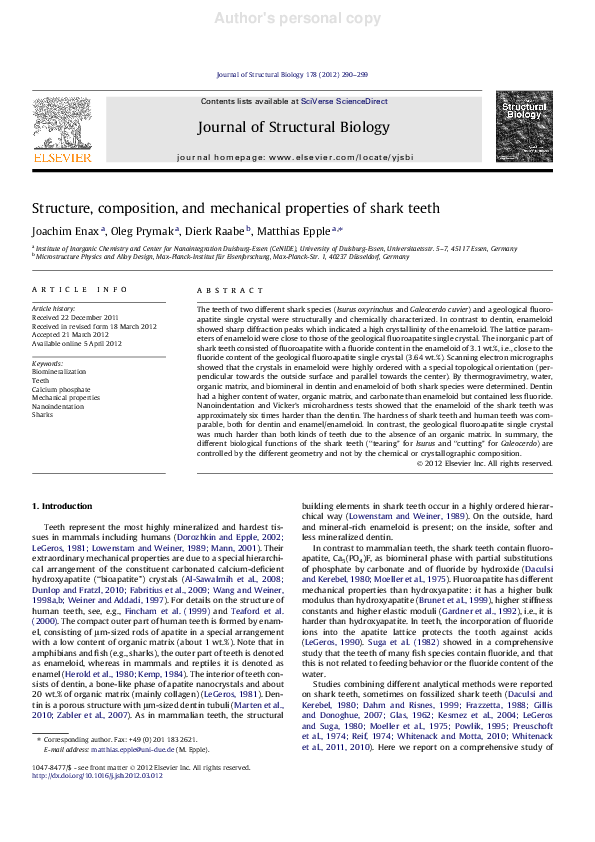 (PDF) Structure, composition, and mechanical properties of shark teeth