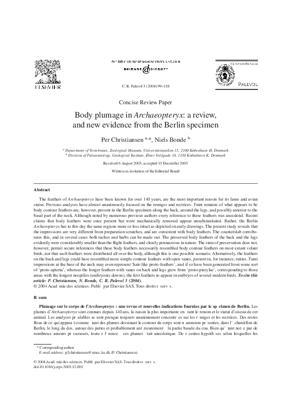 (PDF) Body plumage in Archaeopteryx :a review, and new evidence from ...
