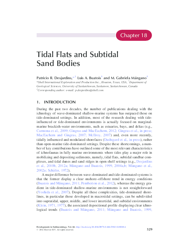 (PDF) Tidal flat and subtidal sand bodies | Luis Buatois - Academia.edu