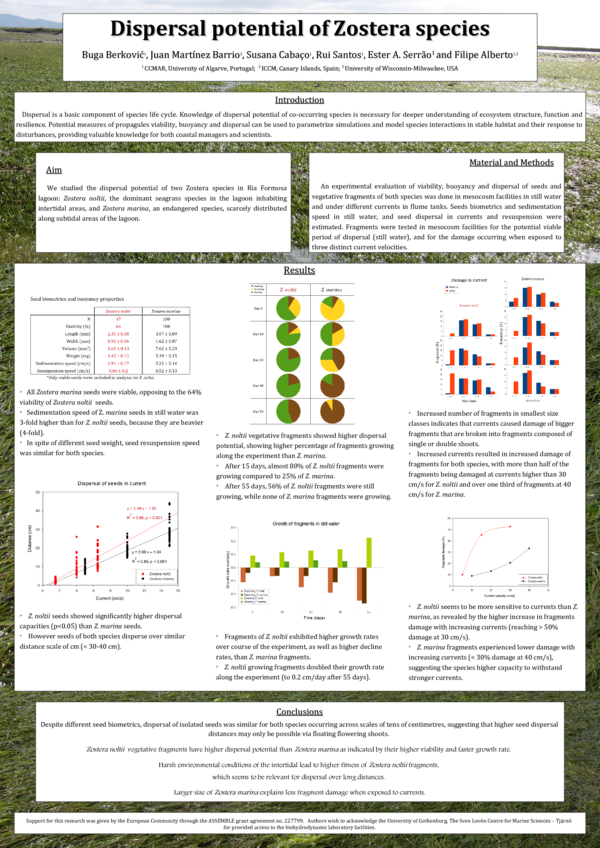 Dispersal potential of Zostera species