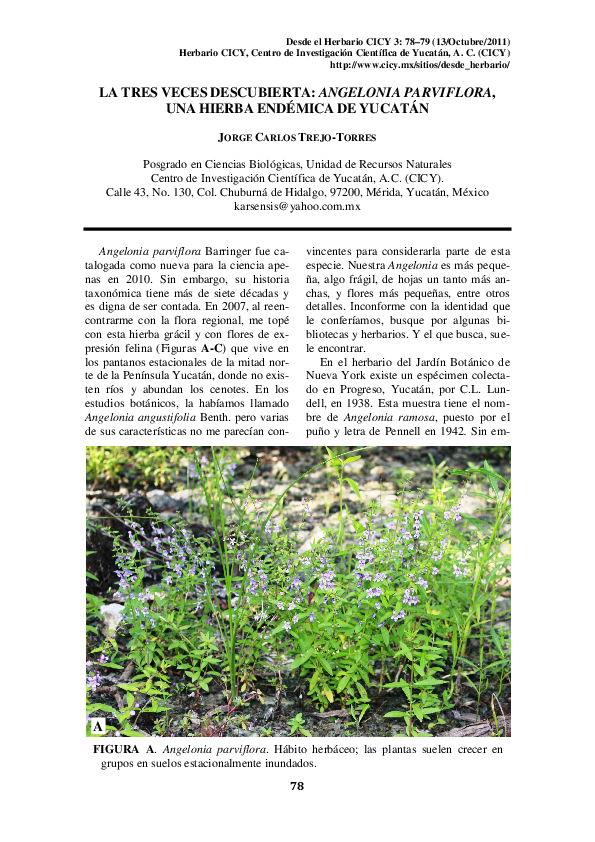 (PDF) La tres veces descubierta: Angelonia parviflora, una hierba ...
