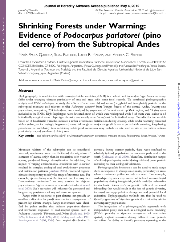 (PDF) Shrinking Forests under Warming: Evidence of Podocarpus ...