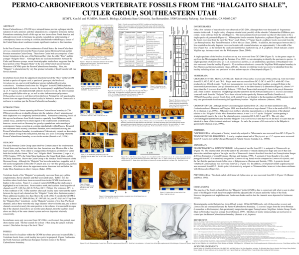 (PDF) Permo-Carboniferous vertebrate fossils from the “Halgatio Shale ...