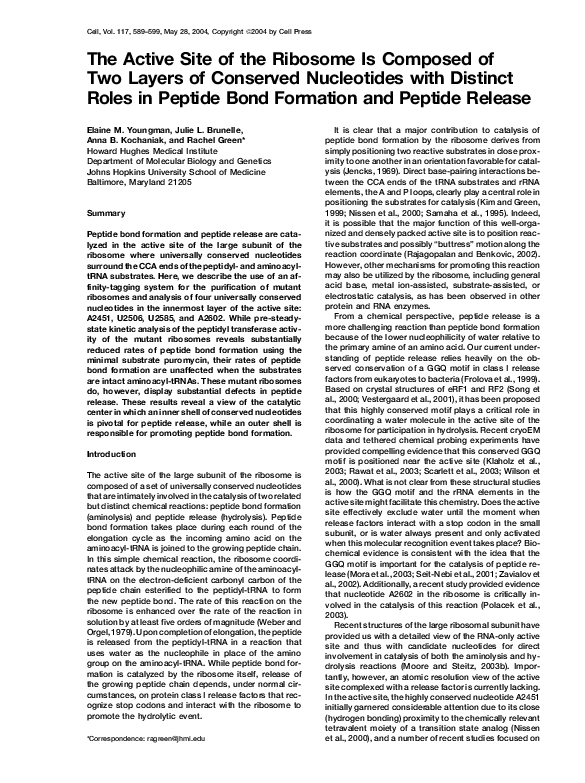 (PDF) The Active Site of the Ribosome Is Composed of Two Layers of ...