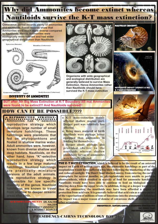 (PDF) Why did ammonites become extinct whereas nautiloids survive the K ...