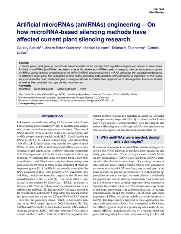(PDF) Artificial microRNAs (amiRNAs) engineering – On how microRNA ...