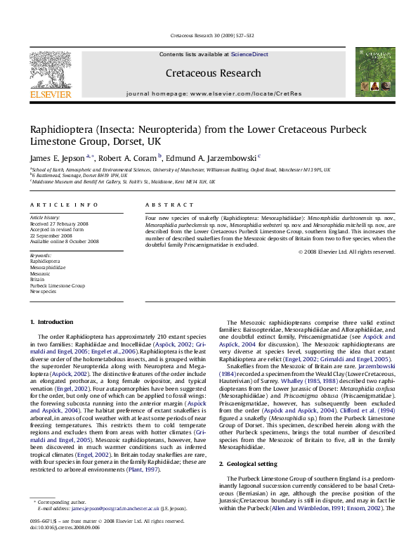 (PDF) Raphidioptera (Insecta: Neuropterida) from the Lower Cretaceous ...