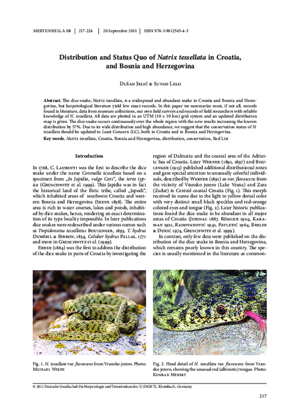 (PDF) Distribution and Status Quo of Natrix tessellata in Croatia, and ...