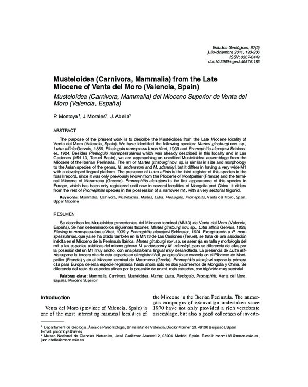 (PDF) Musteloidea (Carnivora, Mammalia) from the Late Miocene of Venta ...
