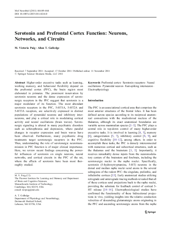 (PDF) Serotonin and Prefrontal Cortex Function: Neurons, Networks, and Circuits