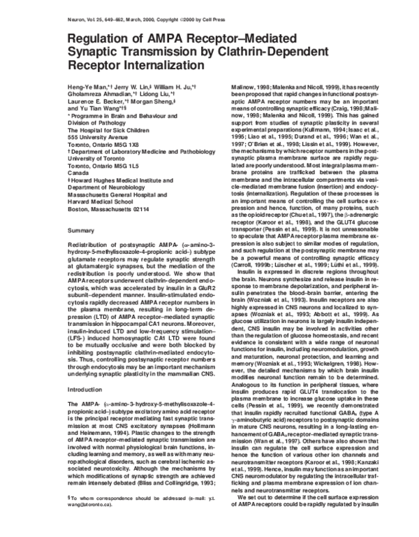 (PDF) Regulation of AMPA receptor-mediated synaptic transmission by clathrin-dependent receptor ...