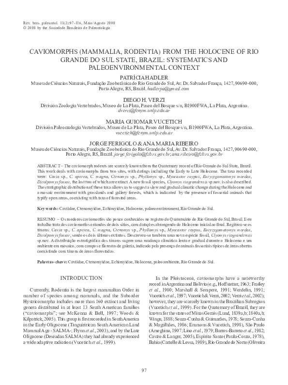 (PDF) Caviomorphs (Mammalia, Rodentia) from the Holocene of Rio Grande ...