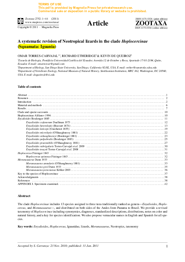 (PDF) A systematic revision of Neotropical lizards in the clade ...