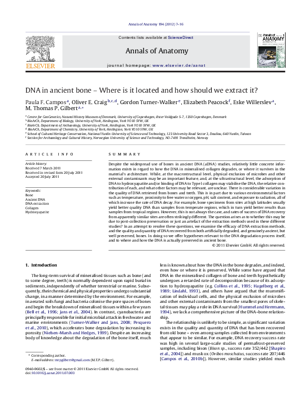 (PDF) DNA in ancient bone–where is it located and how should we extract it?