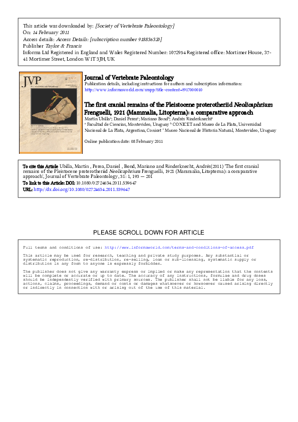The first cranial remains of the Pleistocene proterotheriid ...