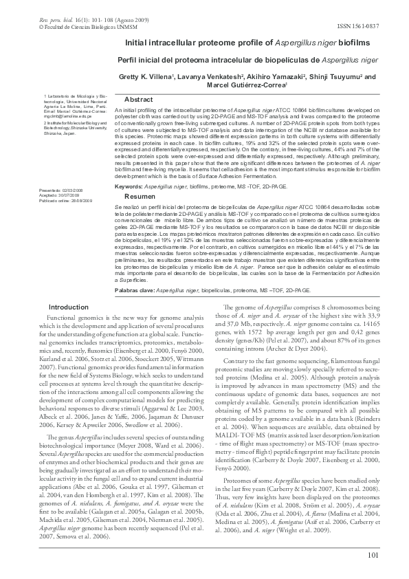 aspergillus niger pdf