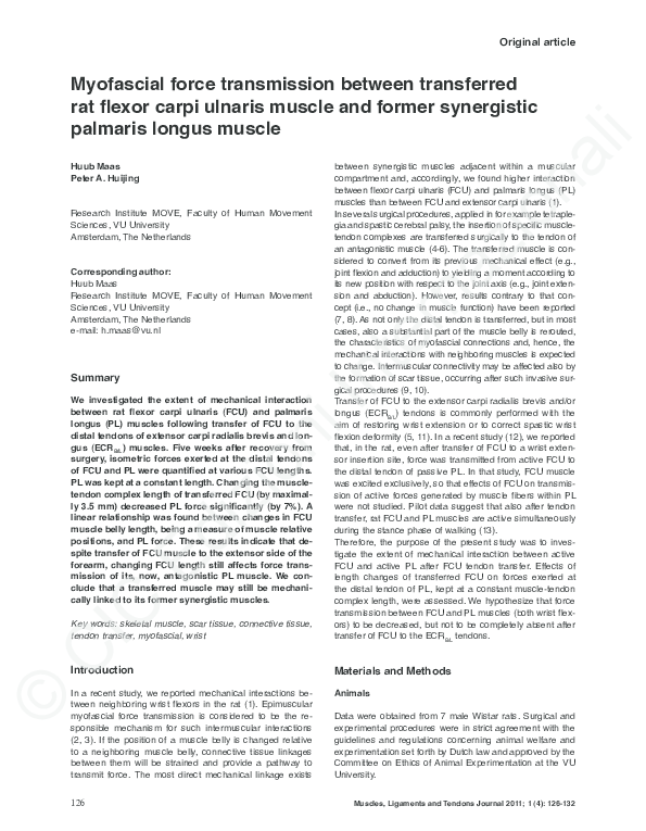(PDF) Myofascial force transmission between transferred rat flexor ...