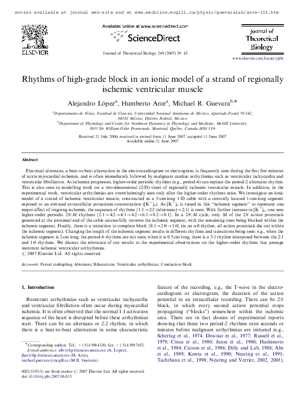 (PDF) Rhythms of high-grade block in an ionic model of a strand of ...