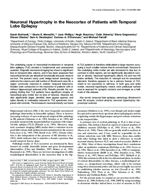 (PDF) Neuronal Hypertrophy in the Neocortex of Patients with Temporal ...