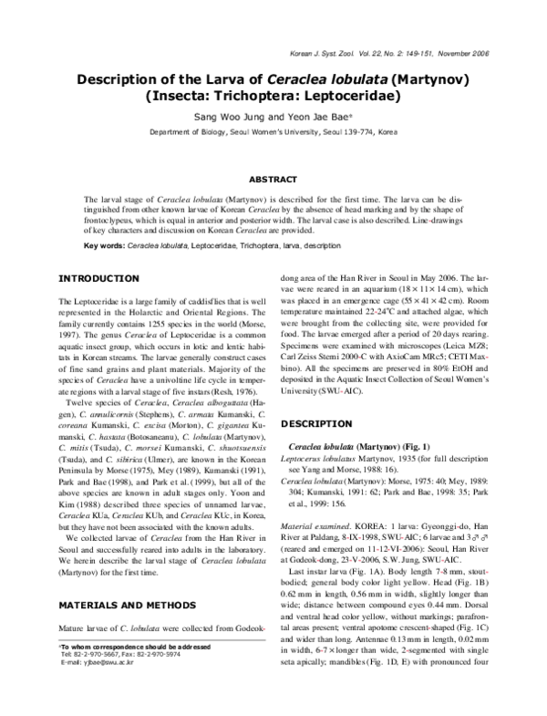 (PDF) JSW Description Larva of Ceraclea lobulata from Korea 2006