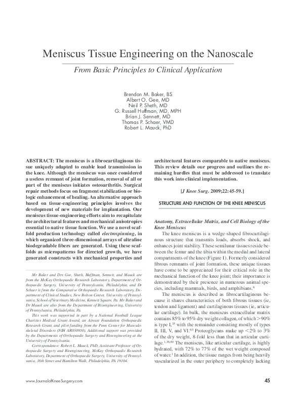 (PDF) Meniscus tissue engineering on the nanoscale: from basic ...