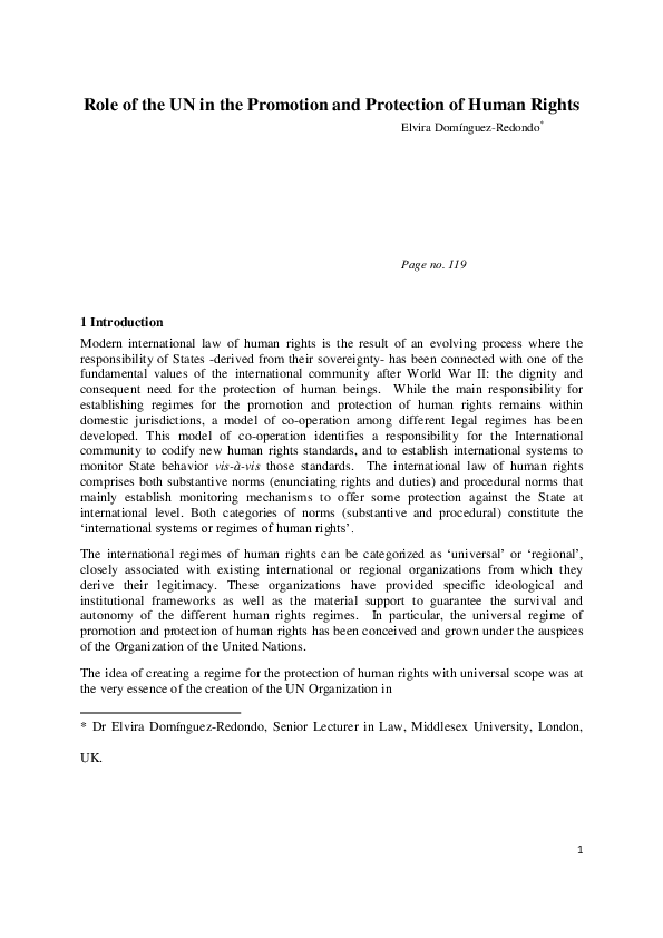 (PDF) 'Role of the UN in the Promotion and Protection of Human Rights ...