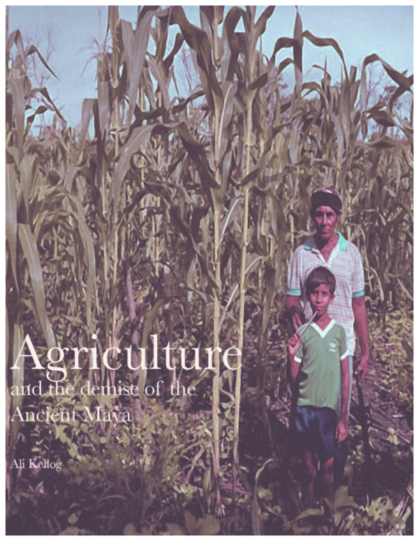 (PDF) Agriculture & The Demise of the Ancient Maya
