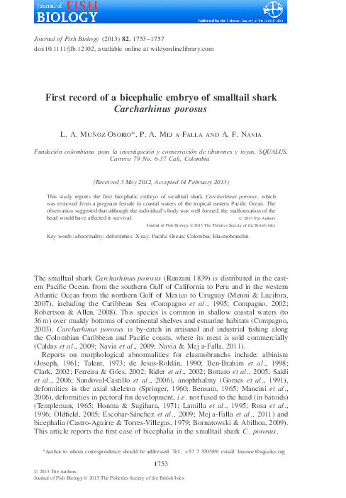 (PDF) First record of a bicephalic embryo of Smalltail Shark ...