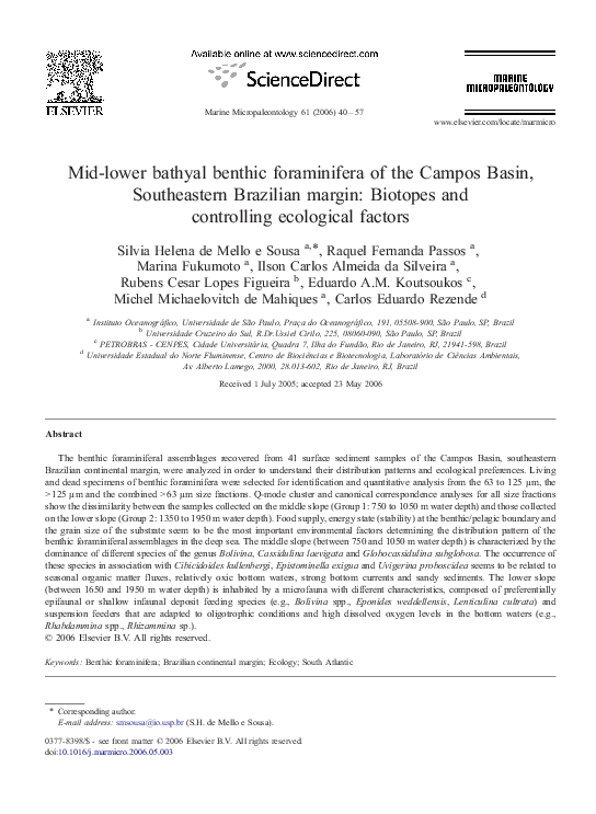 (PDF) Mid-lower bathyal benthic foraminifera of the Campos Basin ...