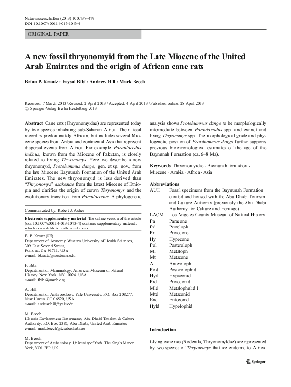 (PDF) A new fossil thryonomyid from the Late Miocene of the United Arab ...