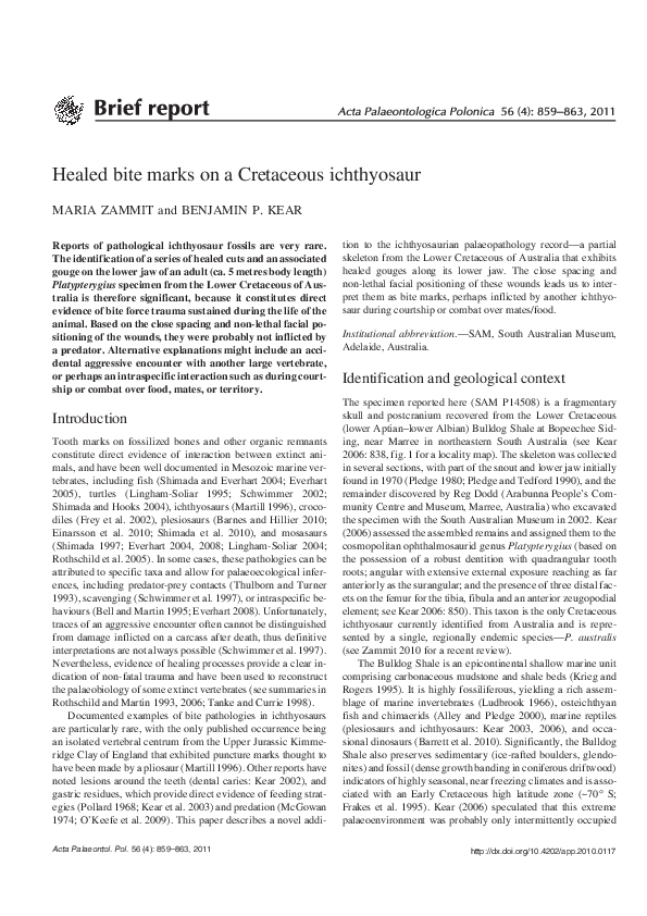 (PDF) Healed bite marks on a Cretaceous ichthyosaur