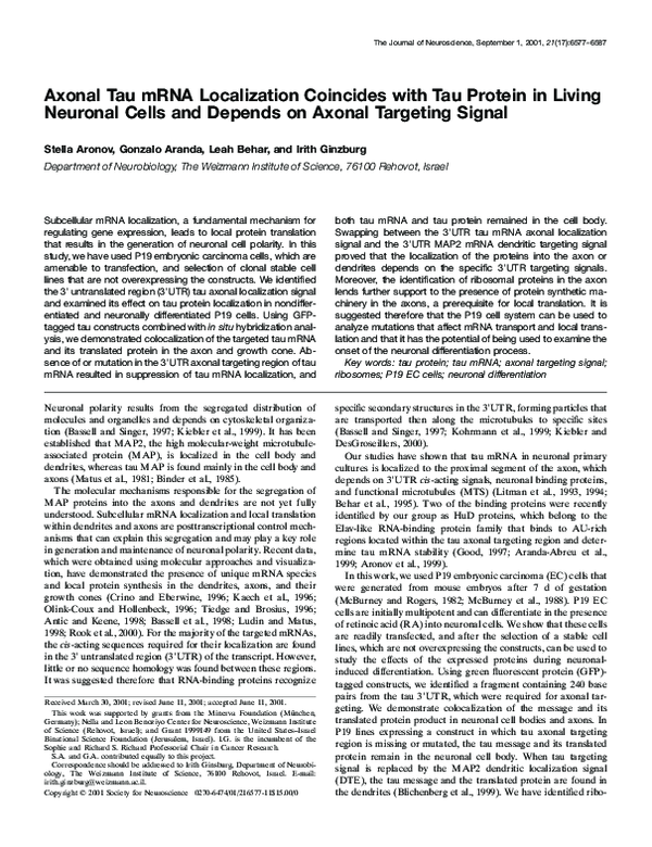 (PDF) Axonal Tau mRNA localization coincides with Tau protein in living ...