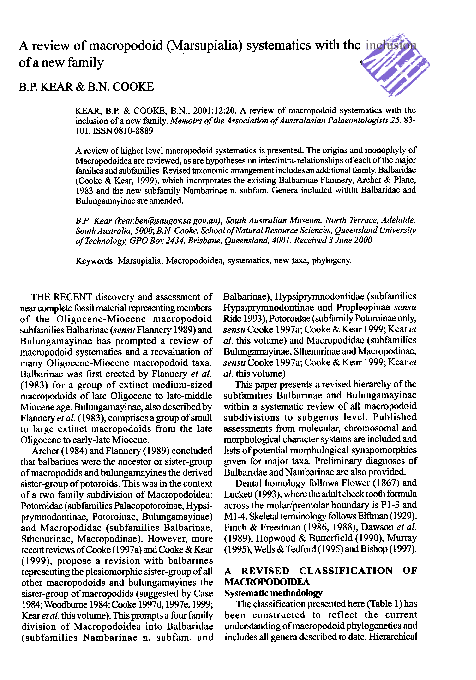 (PDF) A review of macropodoid systematics with the inclusion of a new ...