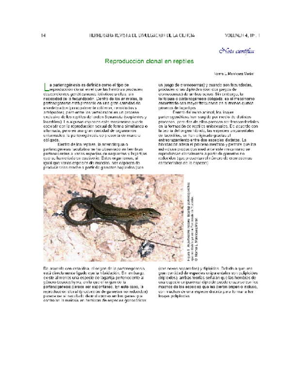 (PDF) Reproducción clonal en reptiles