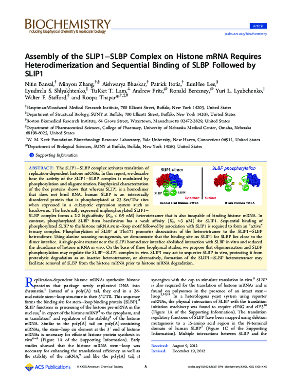 (PDF) Assembly of the SLIP1-SLBP Complex on Histone mRNA Requires ...