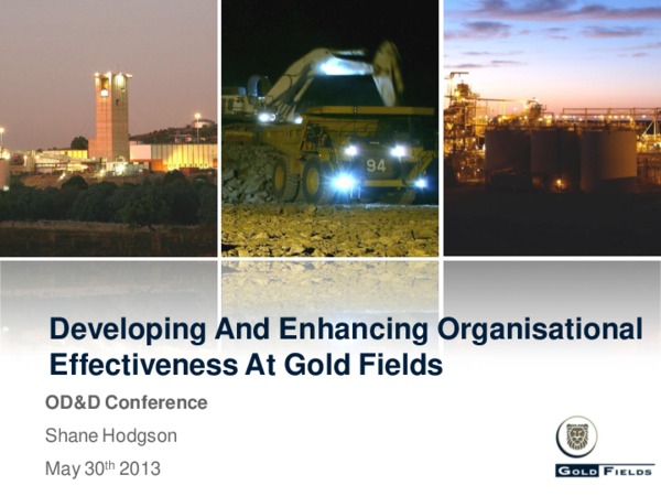 (PDF) Developing and Enhancing Organisational Effectiveness at Gold ...