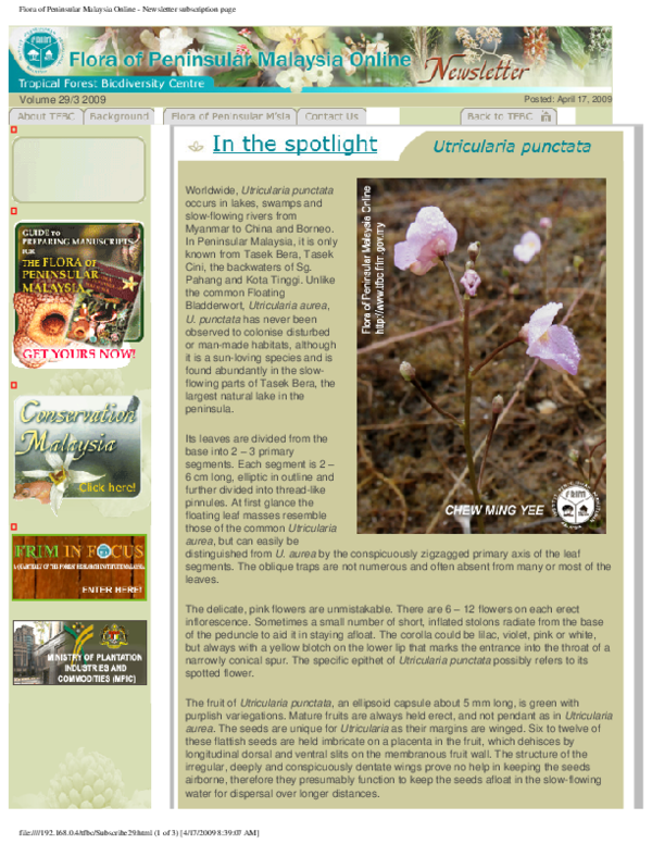 (PDF) Utricularia punctata