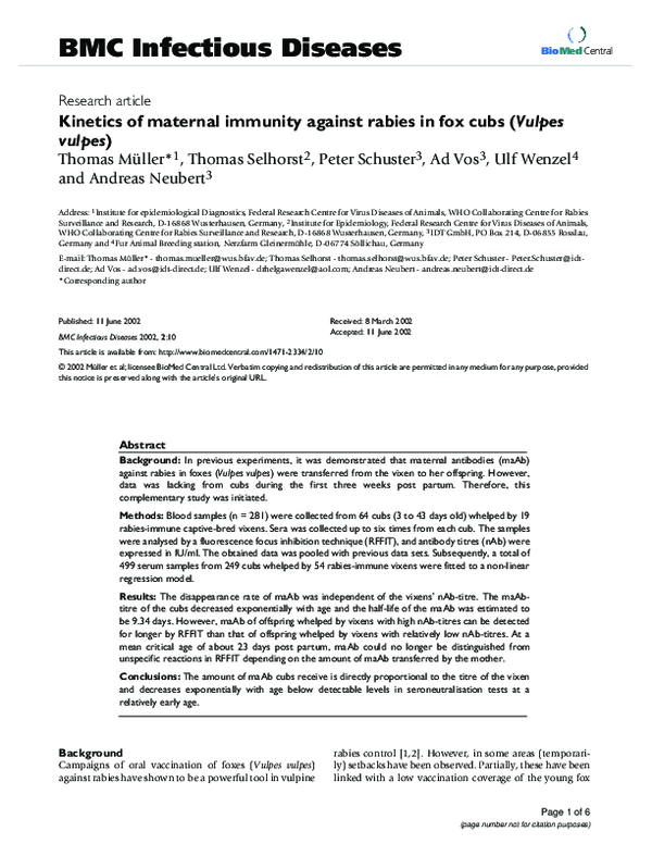 (PDF) Kinetics of maternal immunity against rabies in fox cubs (Vulpes ...