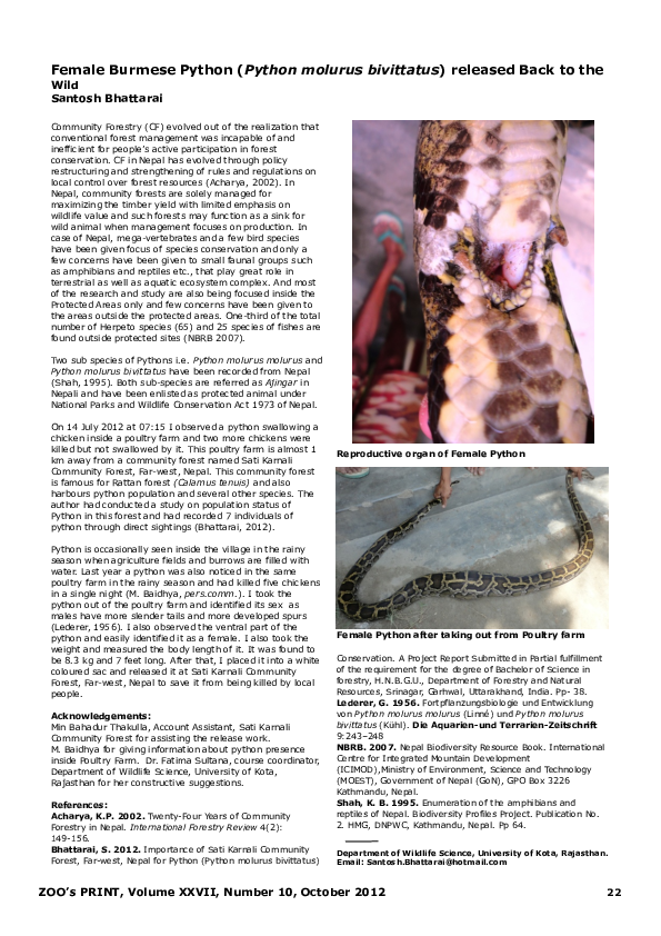 (PDF) Female Burmese Python Python molurus bivittatus released Back to ...