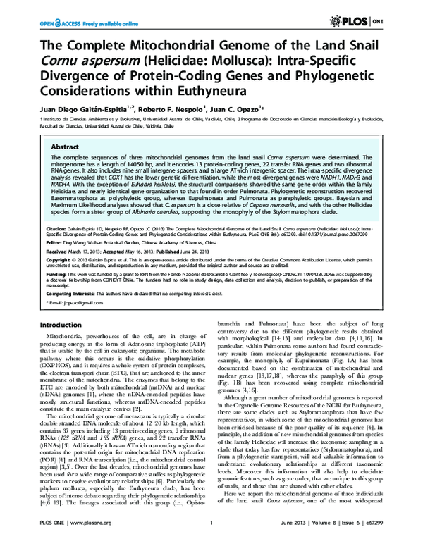 The Complete Mitochondrial Genome of the Land Snail Cornu aspersum ...