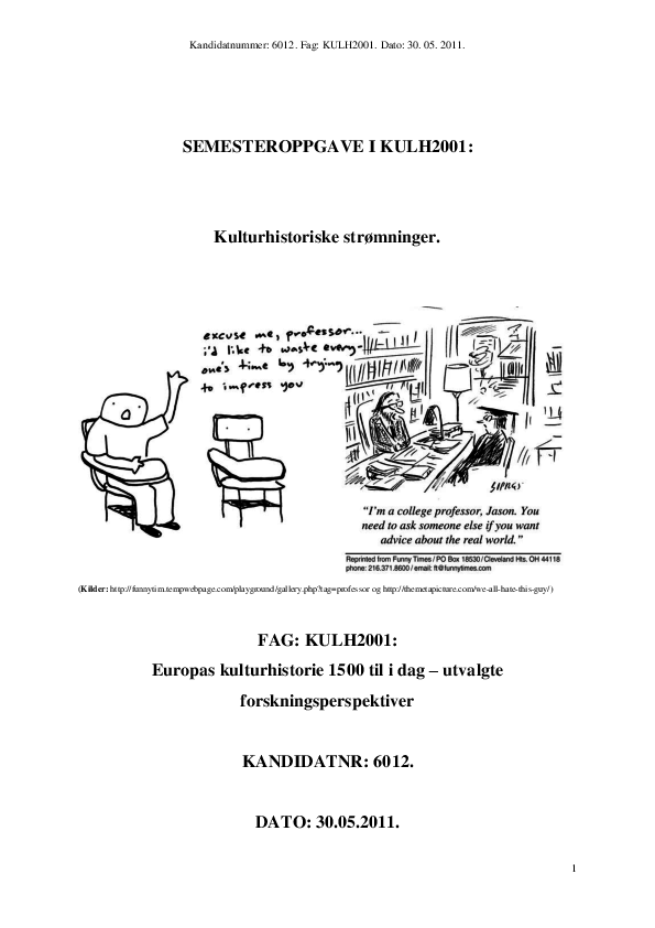 (PDF) Kulturhistoriske strømninger